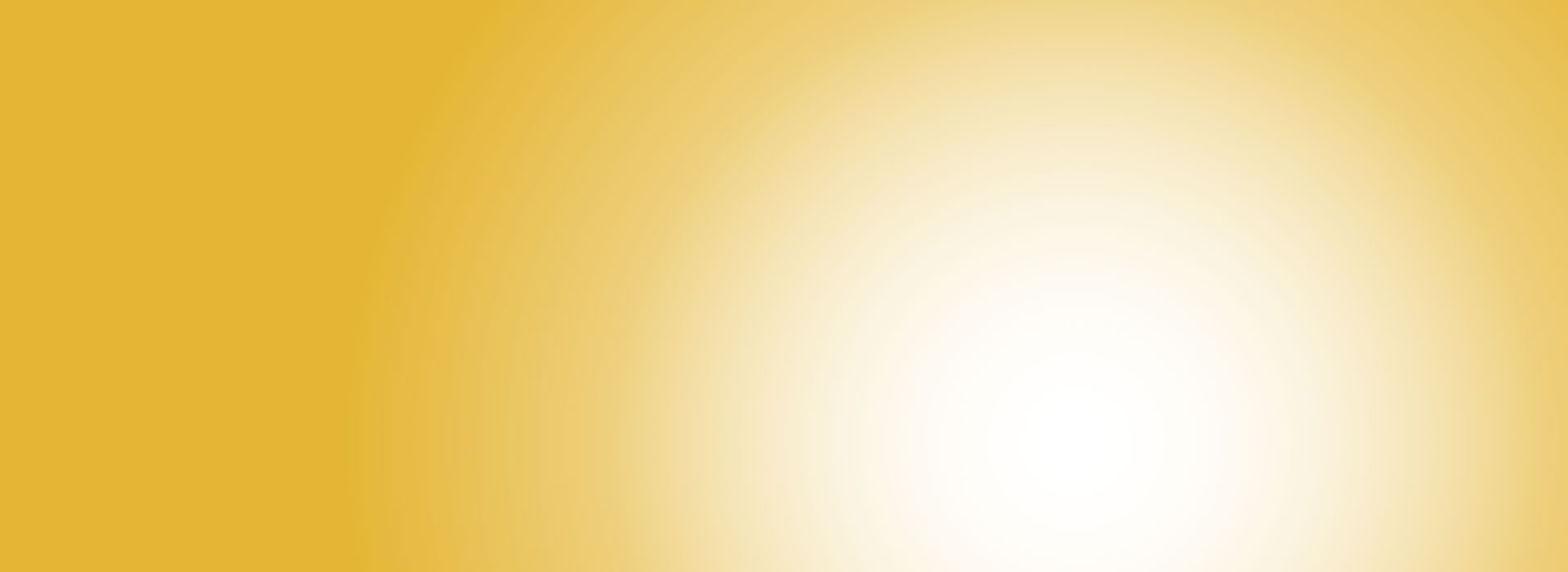 Transnica Costa Rica Nicaragua Honduras